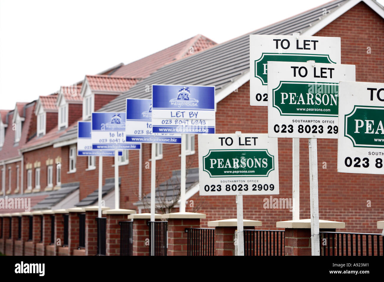 To Let Signs on New Housing Stock Photo - Alamy