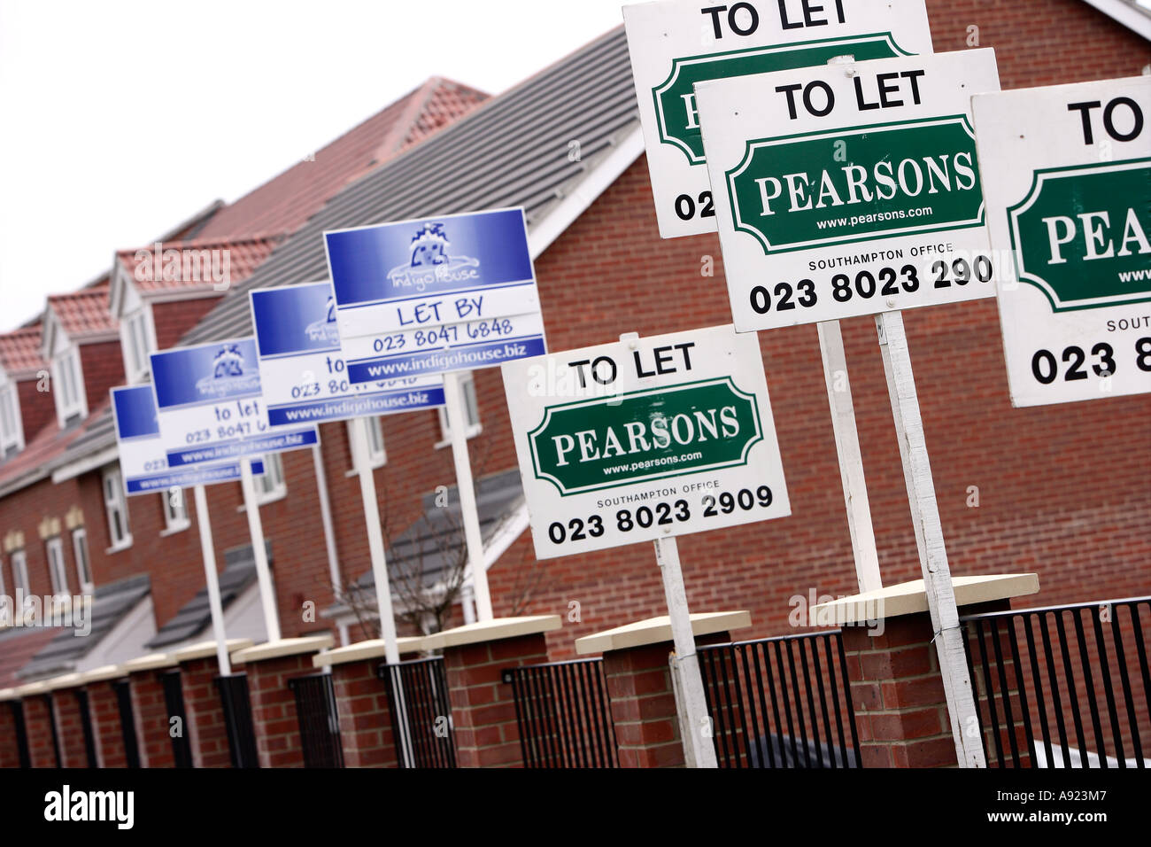To Let Signs on New Housing Stock Photo - Alamy