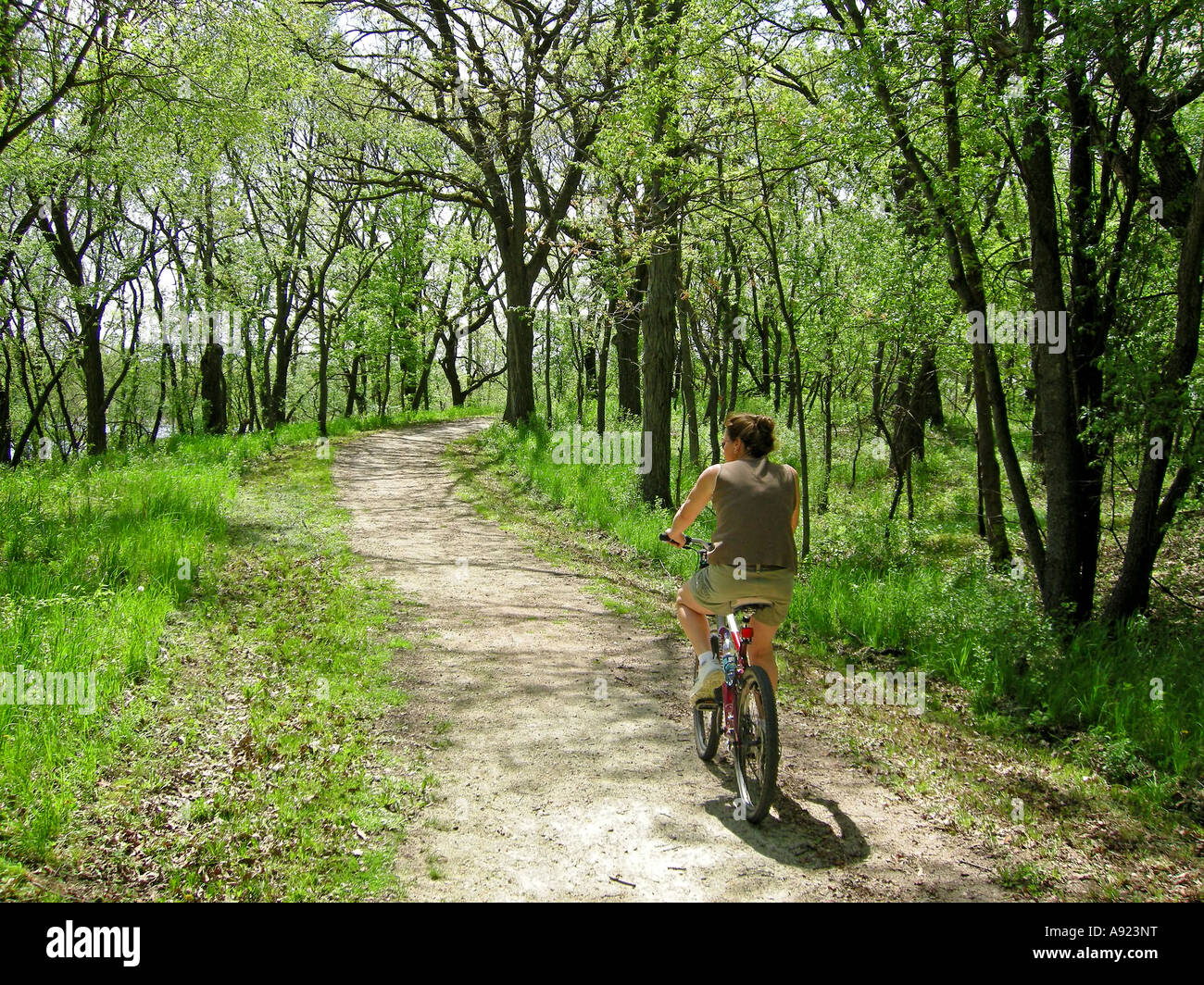 Bike Trail & Rider Stock Photo - Alamy