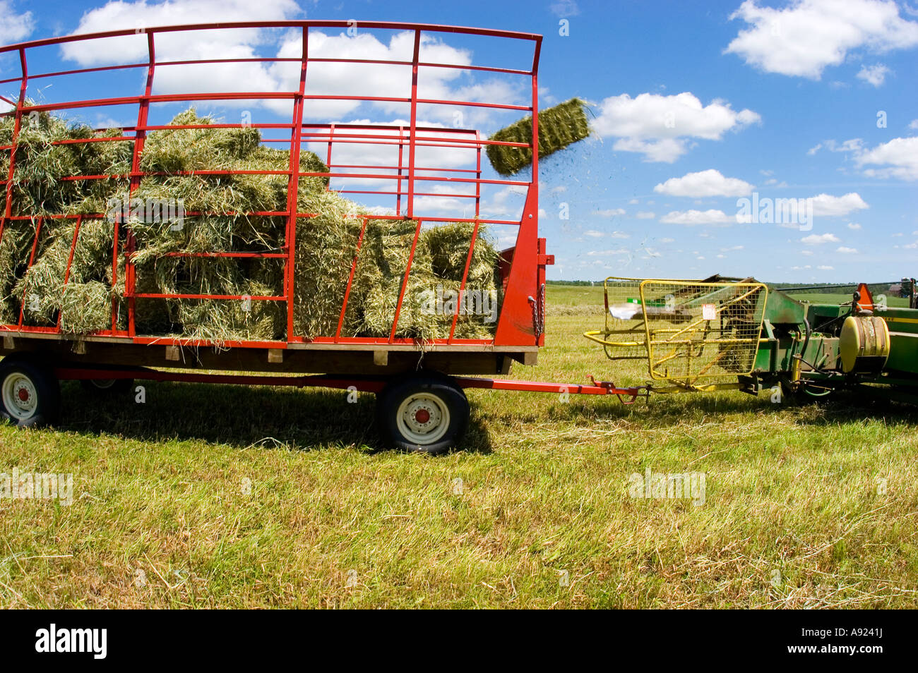 Gathering hay on a farm in Wisconsin Stock Photo - Alamy