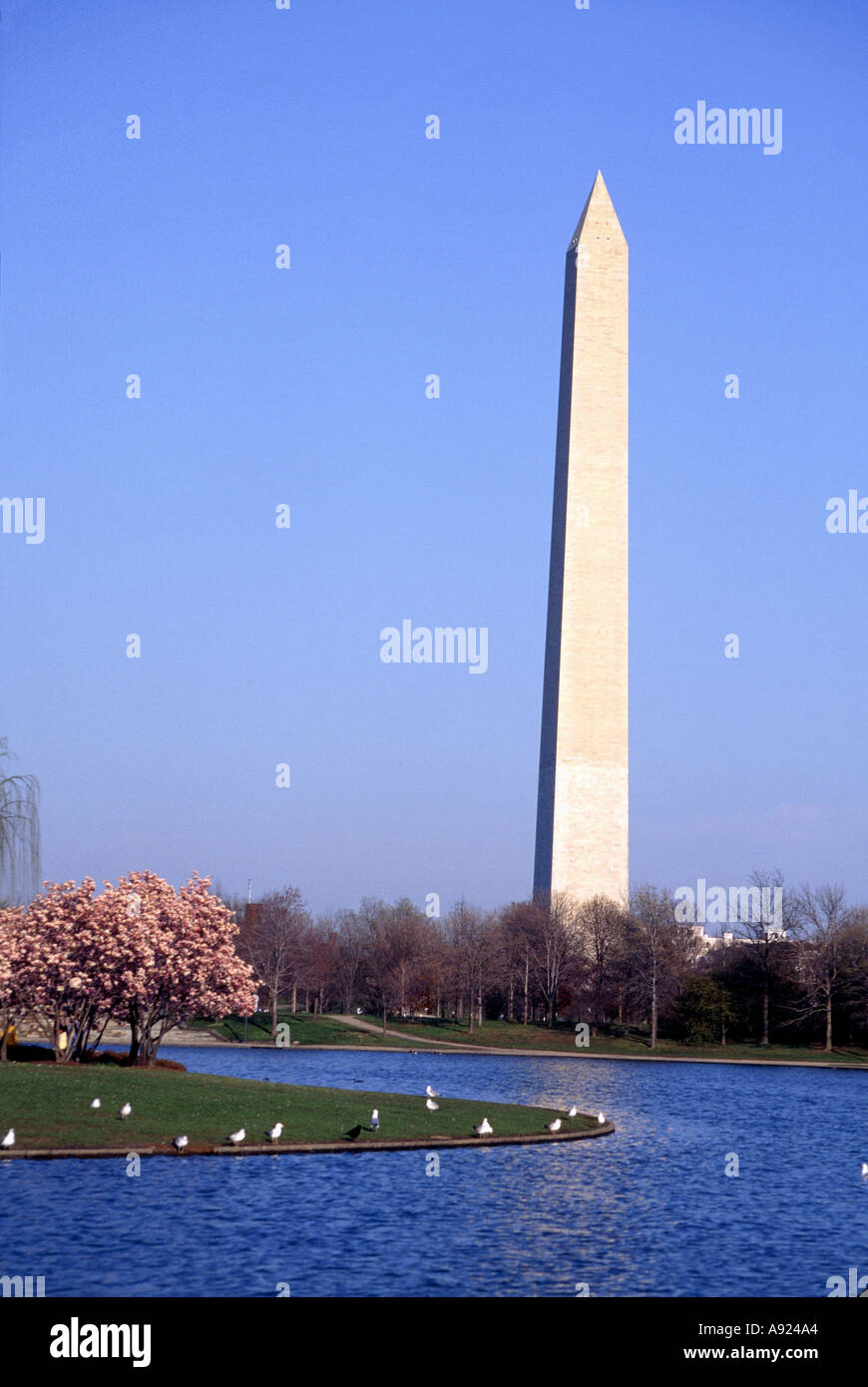 The Washington Monument Washington DC Stock Photo - Alamy