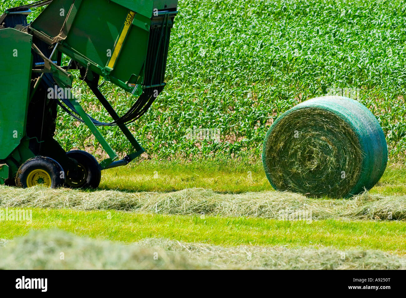 Tractor making a round hay bail Stock Photo - Alamy