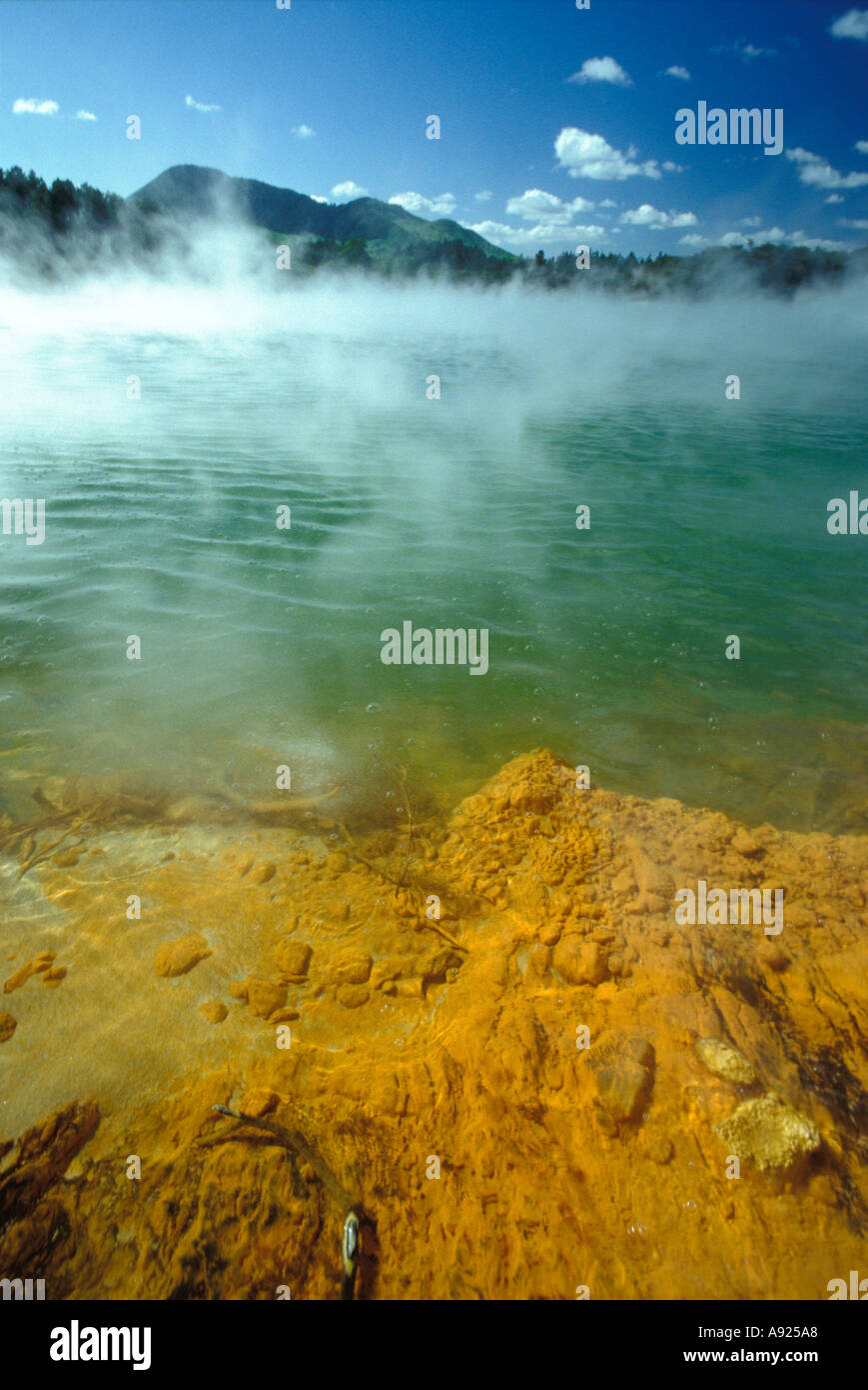 Thermal pools in New Zealand Stock Photo - Alamy