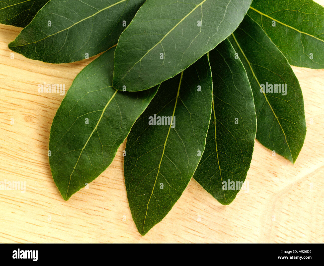 Bay leaves hi-res stock photography and images - Alamy