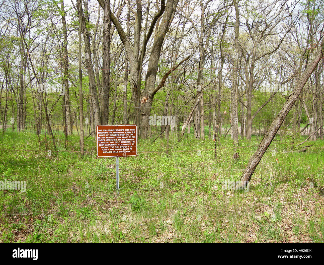 State Park Deer Exclosure Stock Photo - Alamy