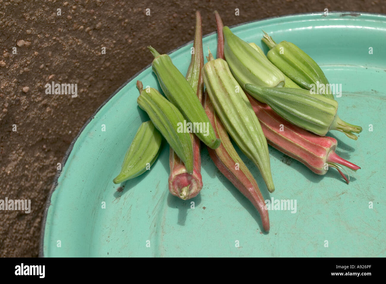 Okra pods used for cooking traditional stew Ghana West Africa Stock ...