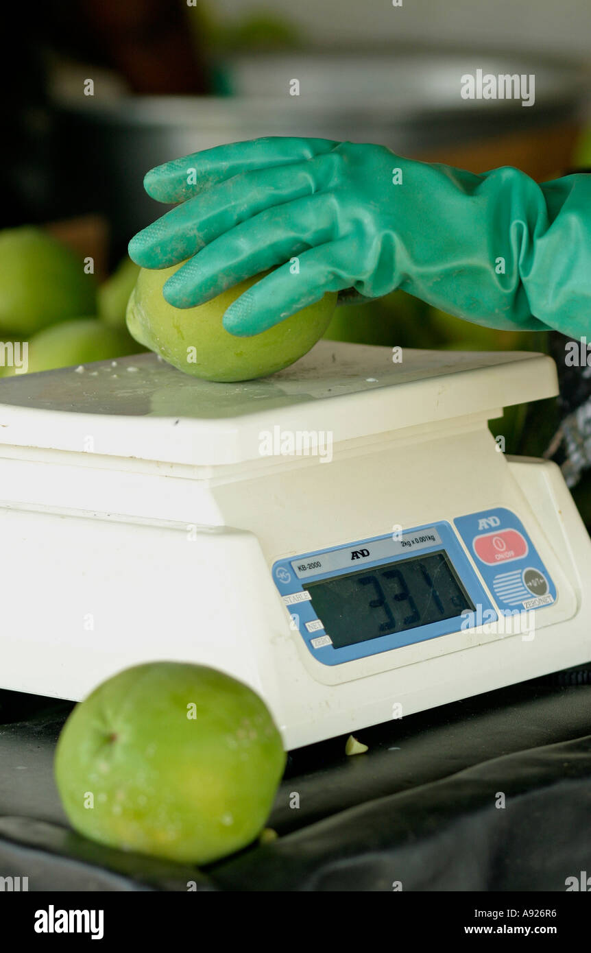 Standard process hi-res stock photography and images - Alamy