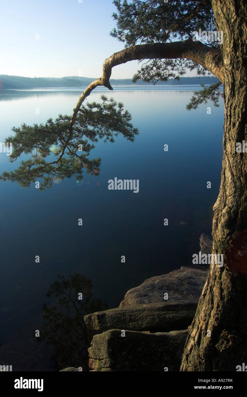 Hanging over water hi-res stock photography and images - Alamy