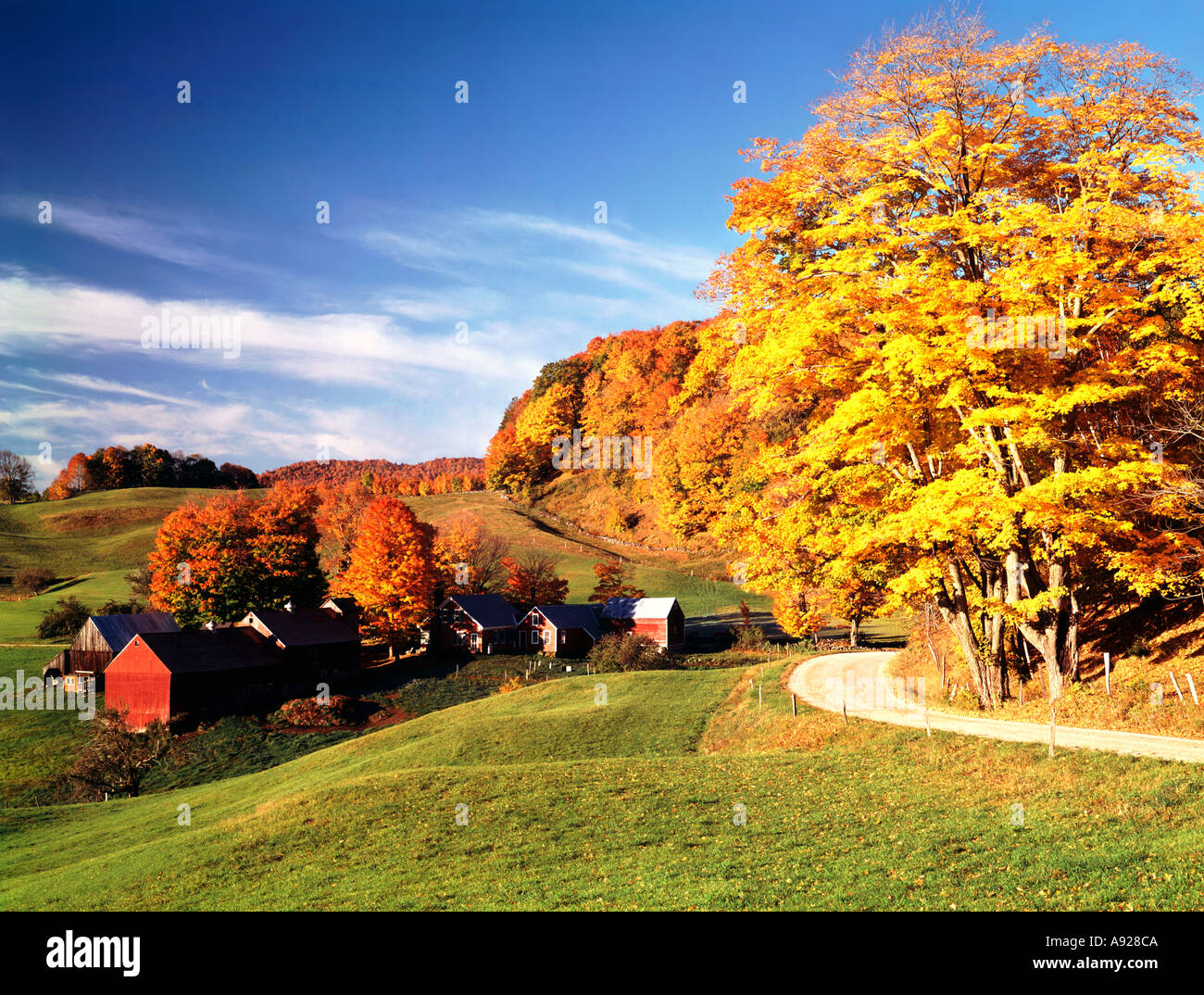 Farm near Reading Vermont with fall color Stock Photo - Alamy
