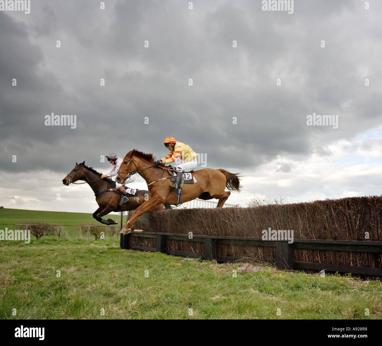 horses jumping fence Stock Photo - Alamy