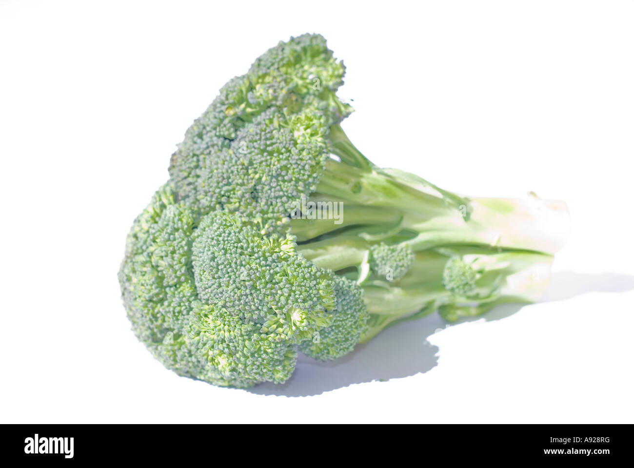 Brocolli heads hi-res stock photography and images - Alamy