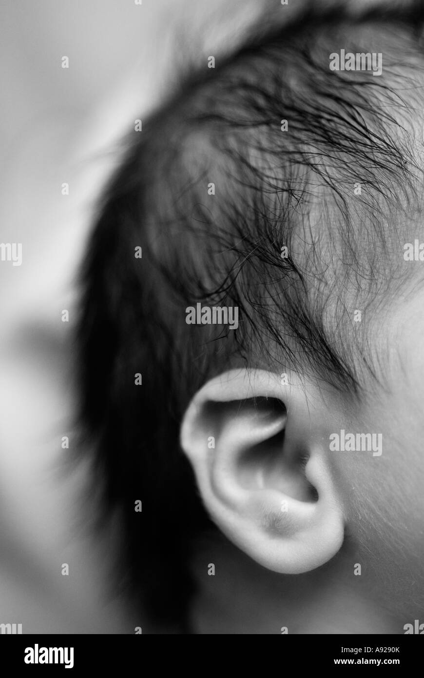 Baby's ear, close-up Stock Photo - Alamy