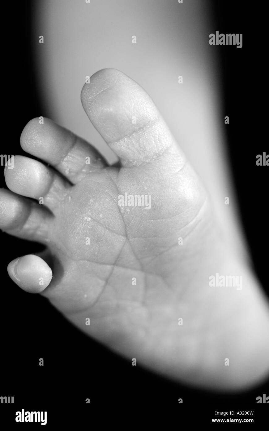 Newborn detail Black and White Stock Photos & Images - Alamy