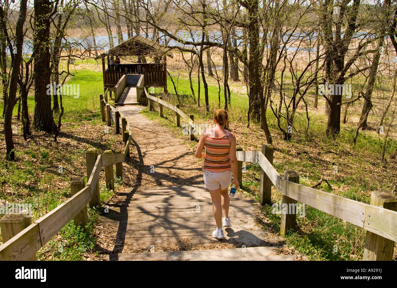 Wetlands Viewing Platform Stock Photo - Alamy