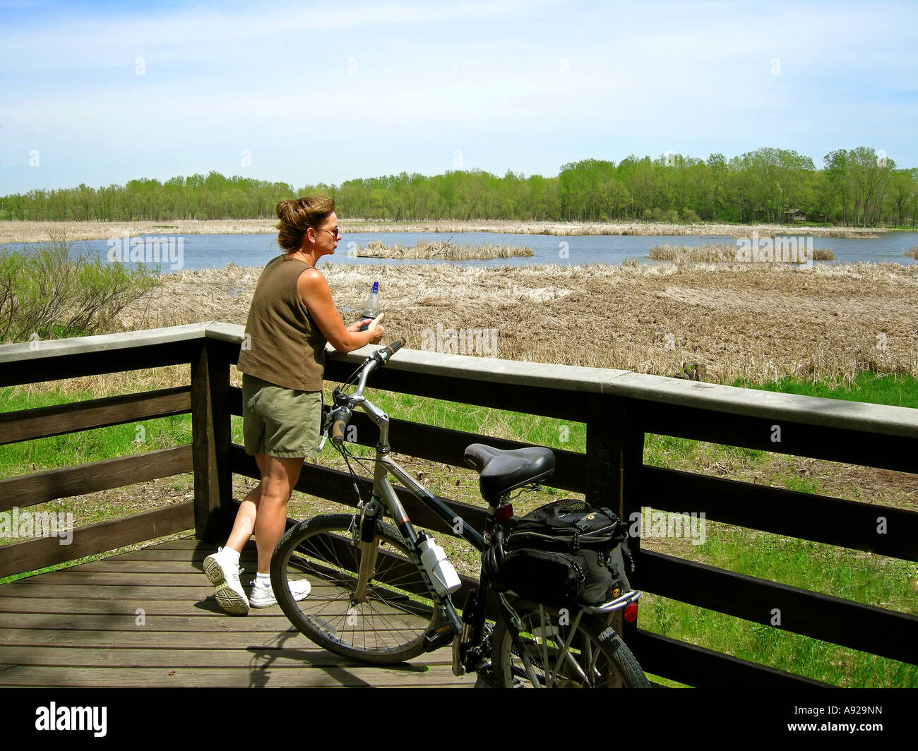 Viewing platform swamp hi-res stock photography and images - Alamy