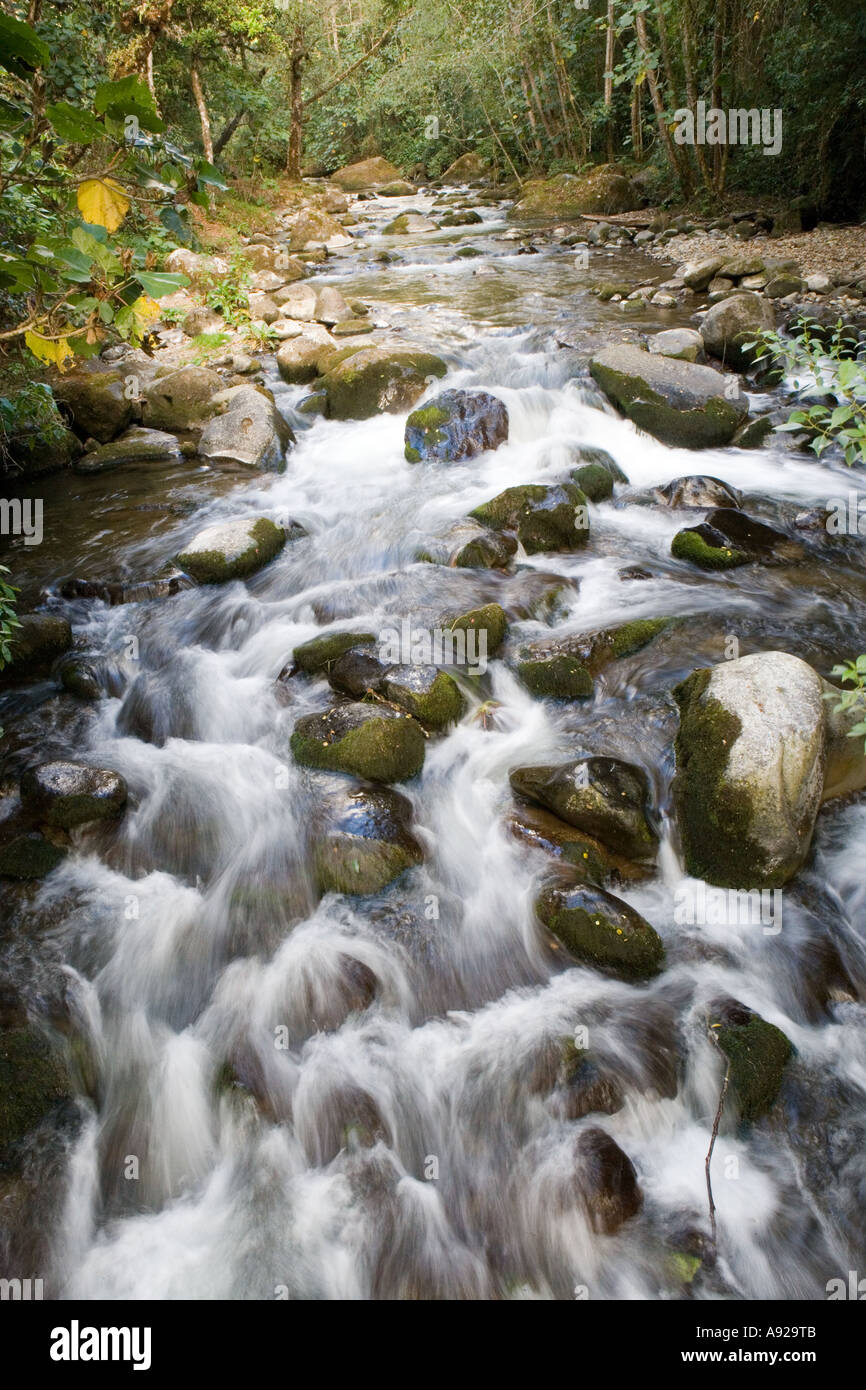 Savegre valley hi-res stock photography and images - Alamy