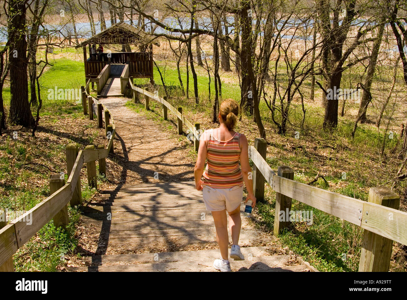 Wetlands Observation Platform Stock Photo - Alamy