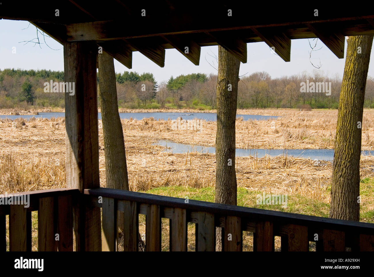 Wetlands Observation Platform Stock Photo - Alamy
