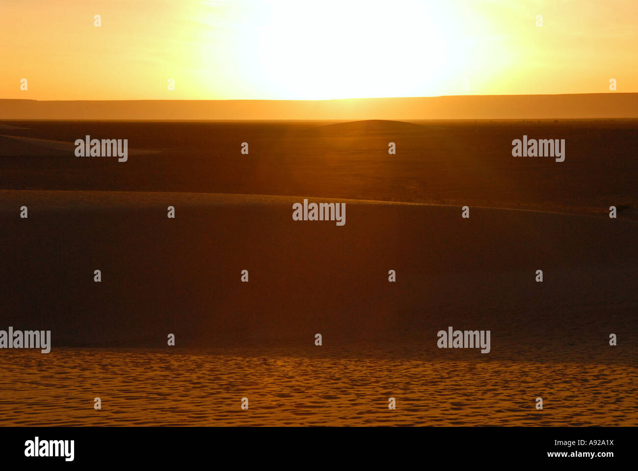Sunset in the Sahara desert Stock Photo - Alamy