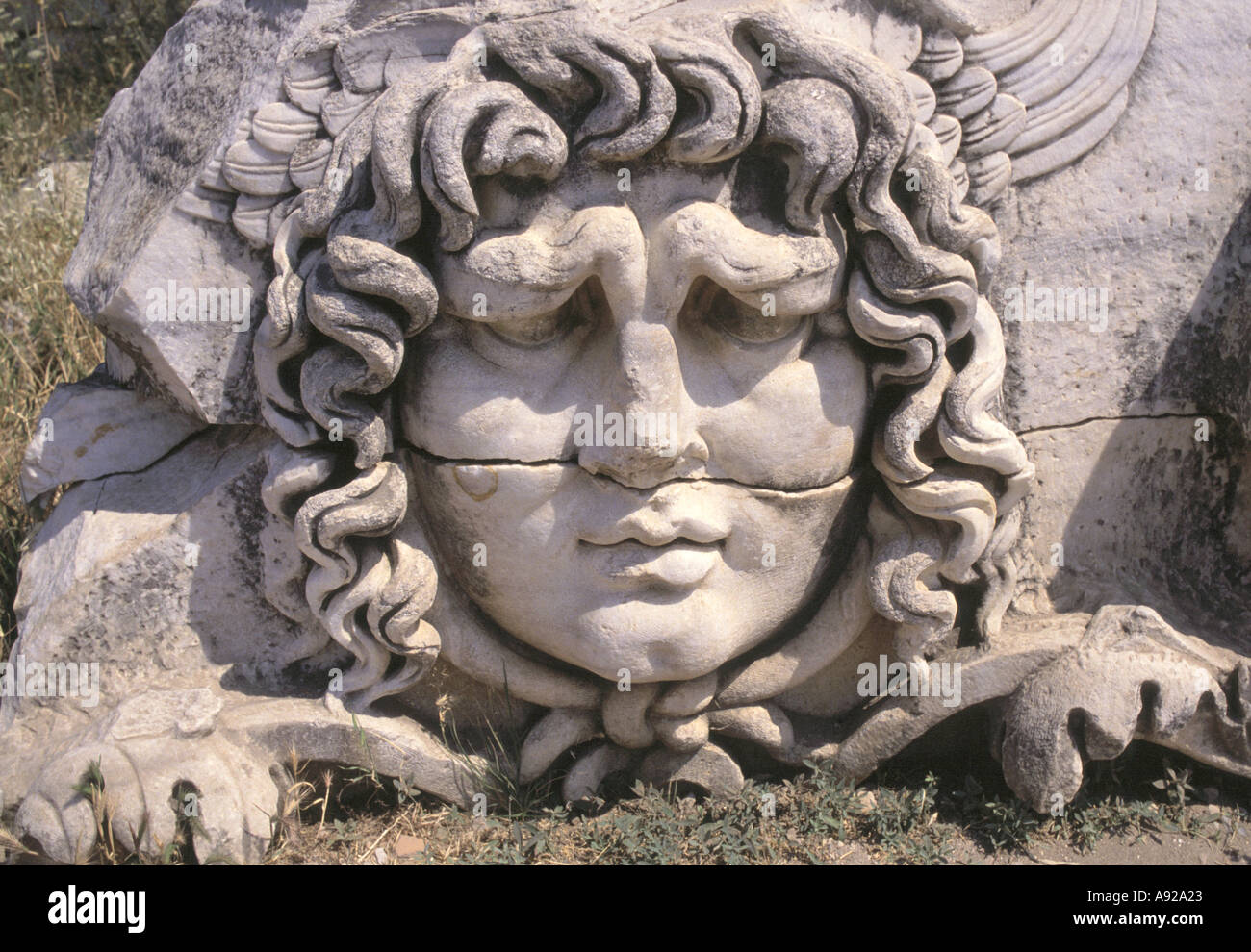 Gorgons head hi-res stock photography and images - Alamy