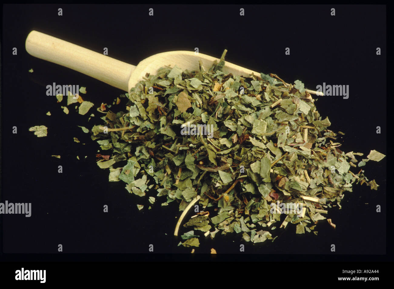 Leberblume hi-res stock photography and images - Alamy
