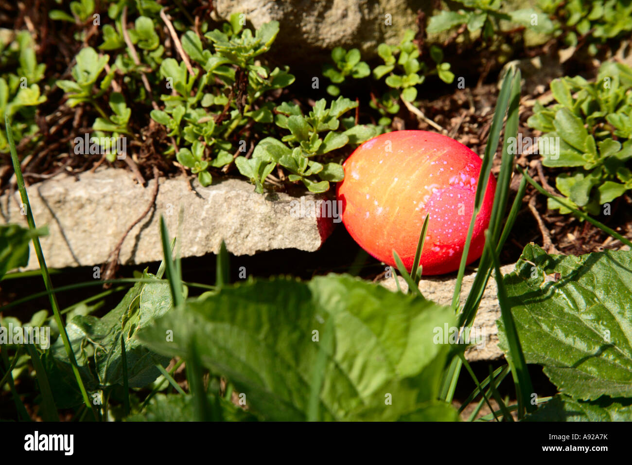 Hidden Easter Eggs Stock Photo - Alamy
