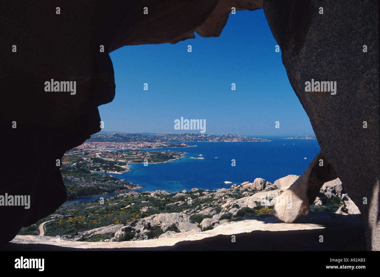 Bear of palau hi-res stock photography and images - Alamy