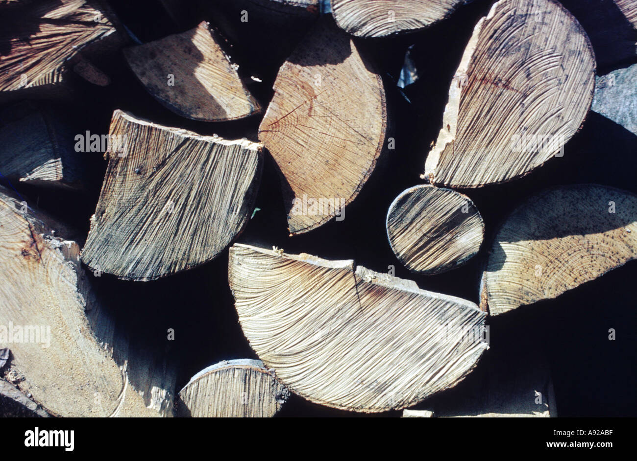 Wood fire wood burn burning fire fuel firewood Stock Photo - Alamy