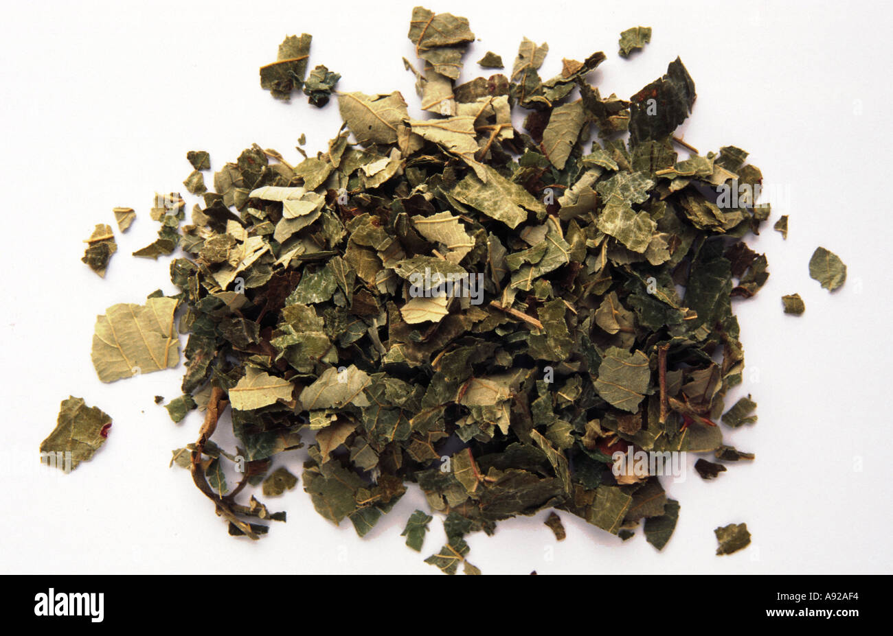 Rubus frutic hi-res stock photography and images - Alamy