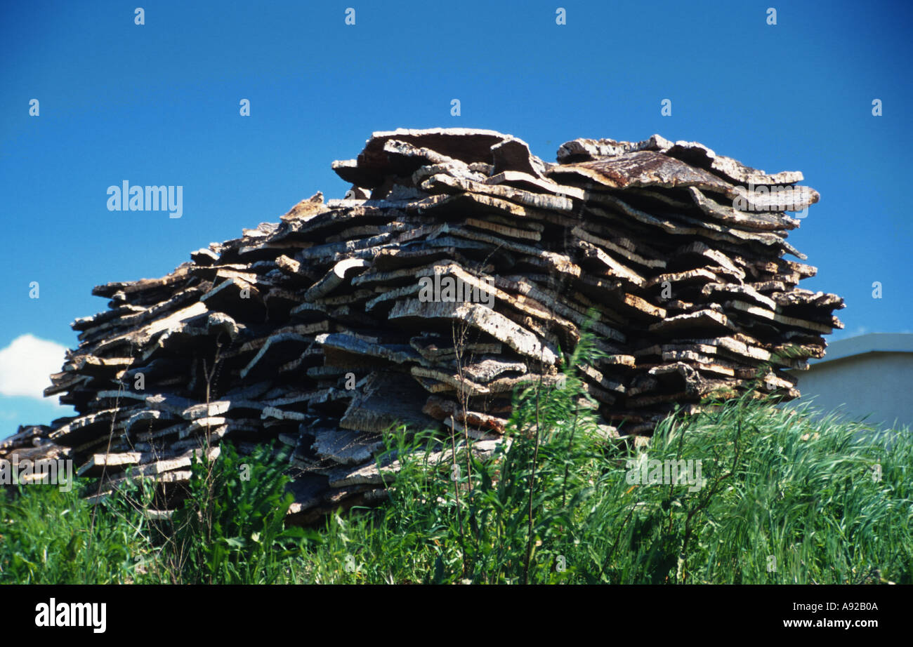 Bork bork hi-res stock photography and images - Alamy