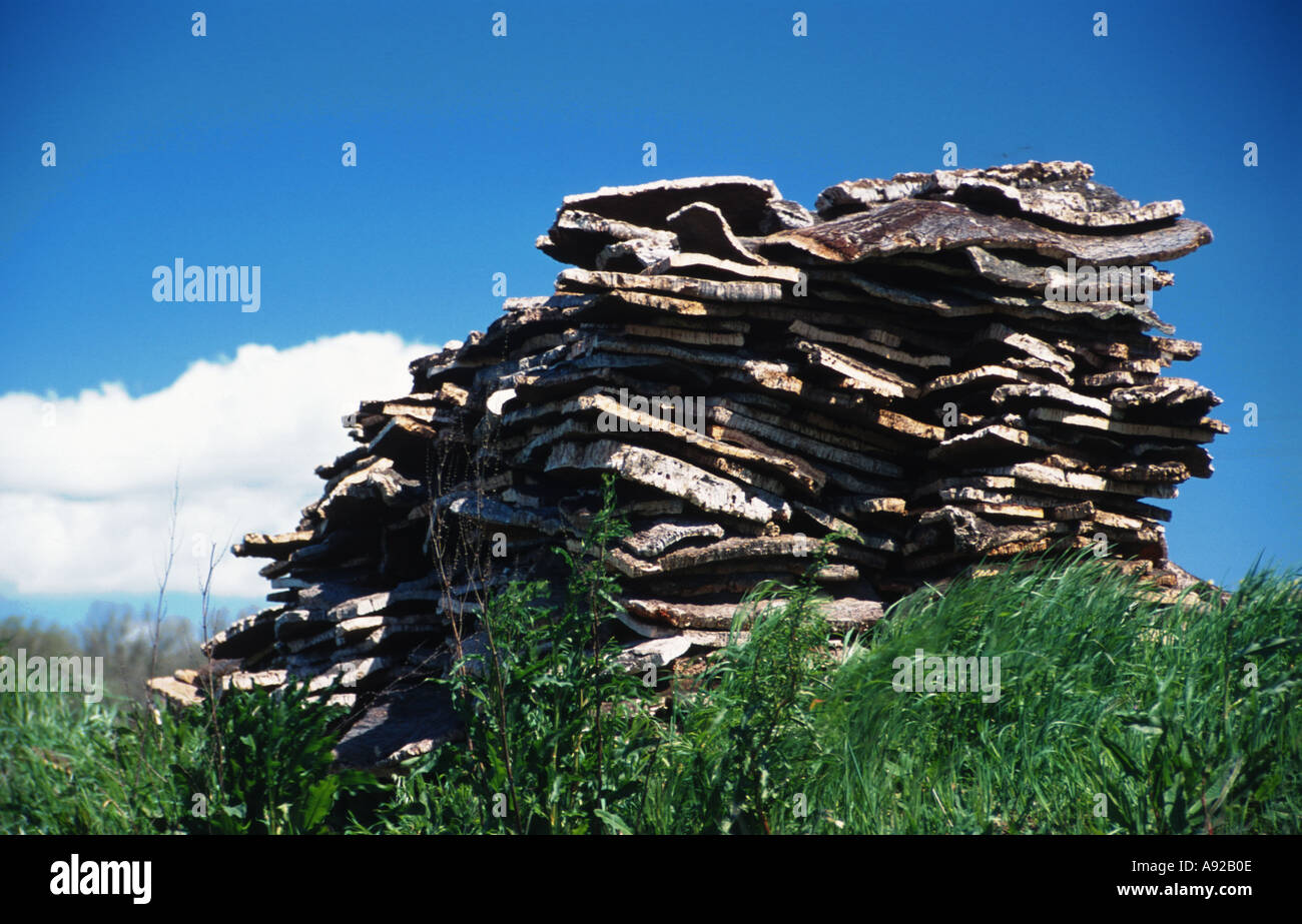 Bork bork hi-res stock photography and images - Alamy