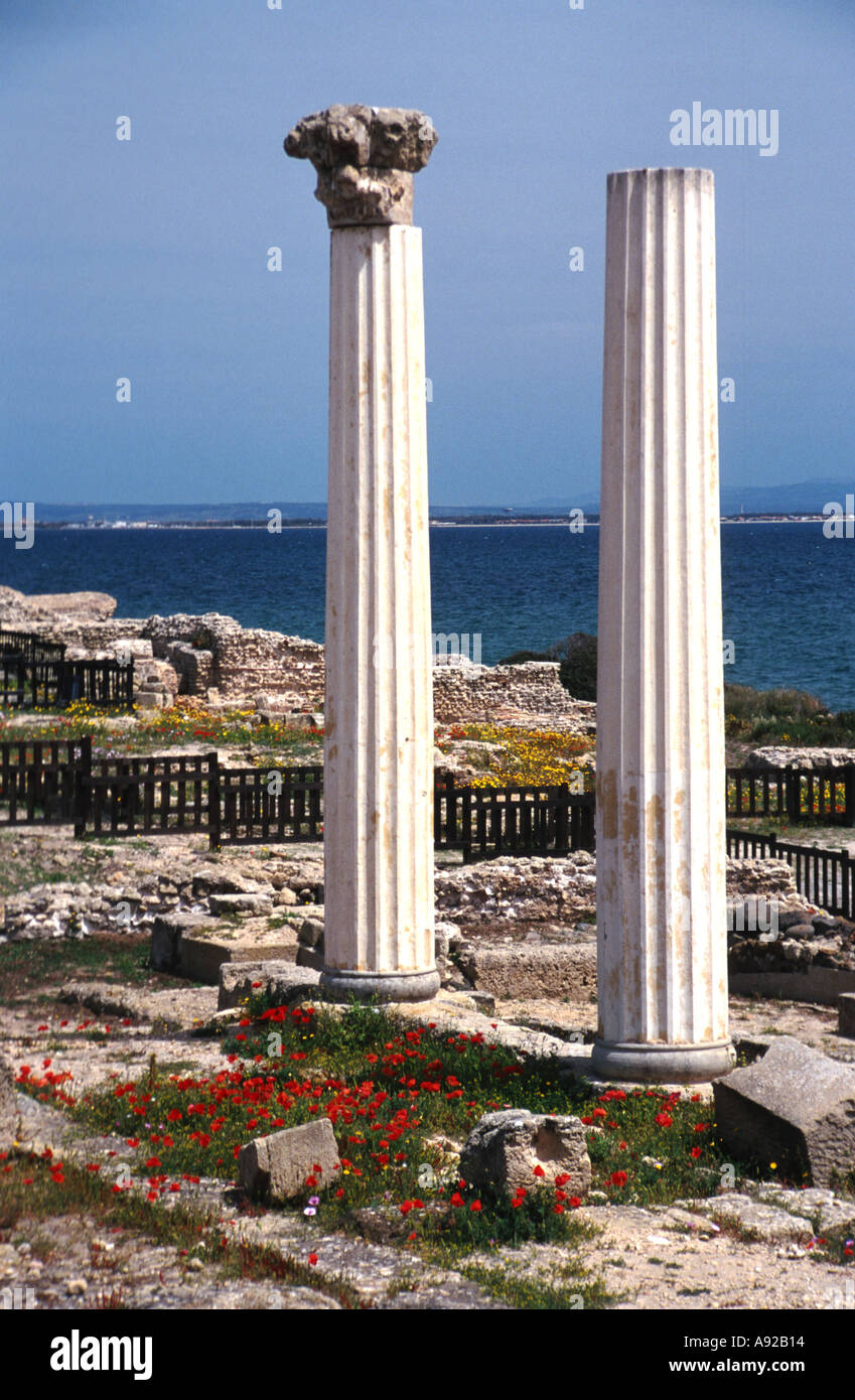Punic Roman ruins of city founded by the Phoenicians in 730 BC at ...