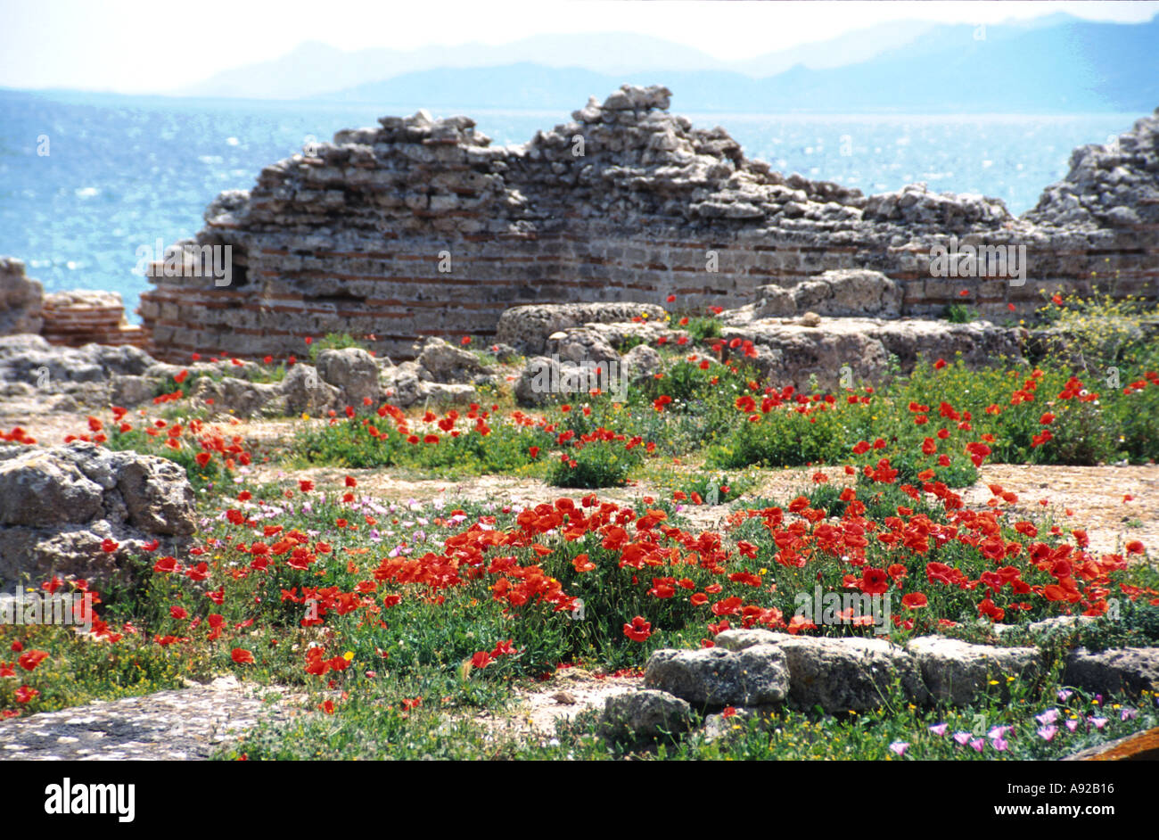 Punic Roman ruins of city founded by the Phoenicians in 730 BC at ...