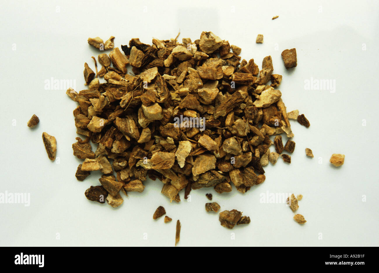 Medicinal plant Alant Elecampane Inula helenium roots root Stock Photo ...