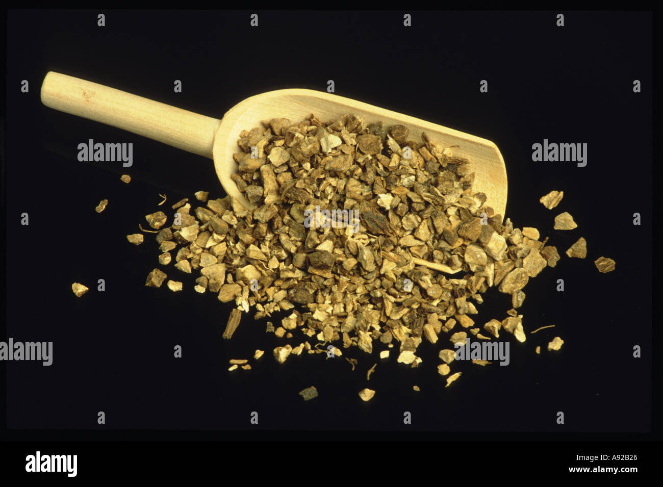 Medicinal plant Alant Elecampane Inula helenium roots root Stock Photo ...