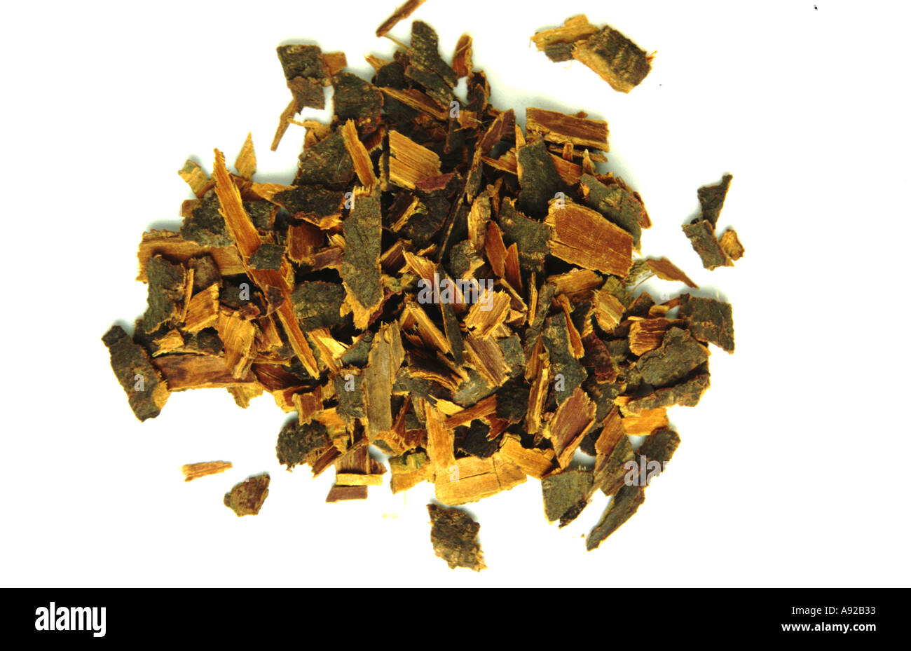 Frangula hi-res stock photography and images - Alamy