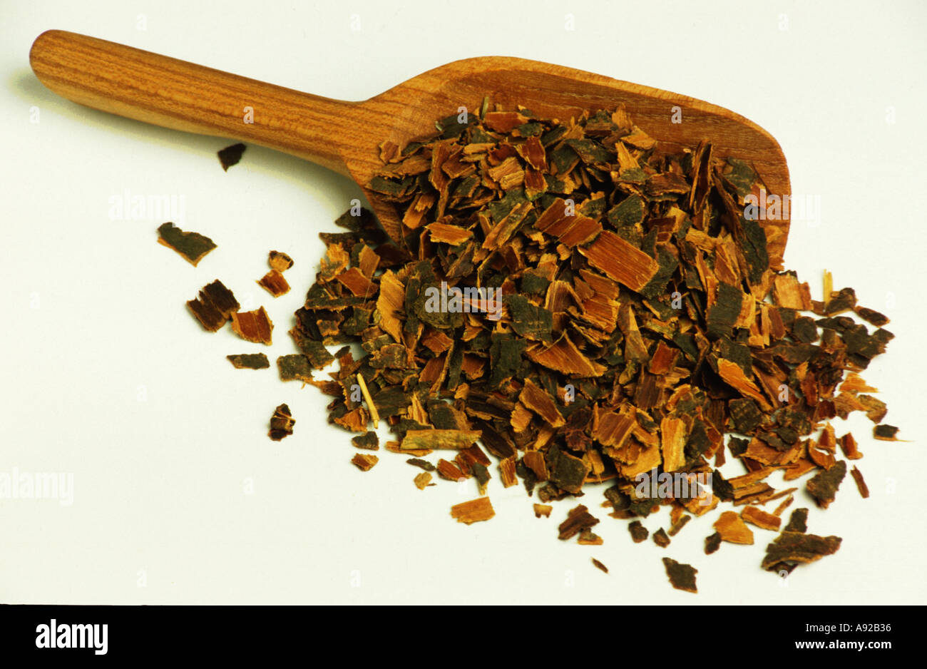 Medicinal plant Cortex frangula Rhamnus fragulae bark of alder ...