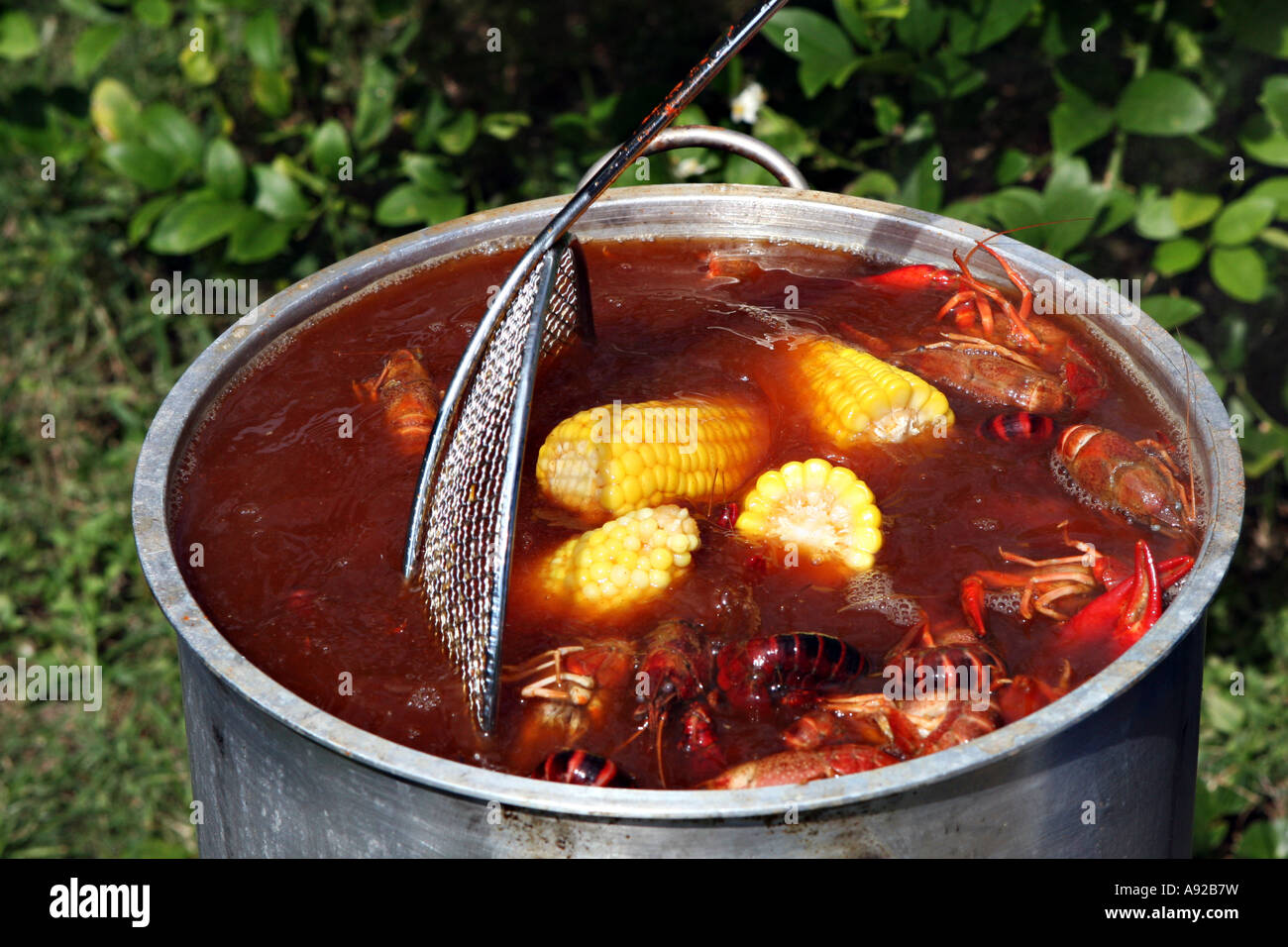 A pot of boiling crawfish Stock Photo - Alamy