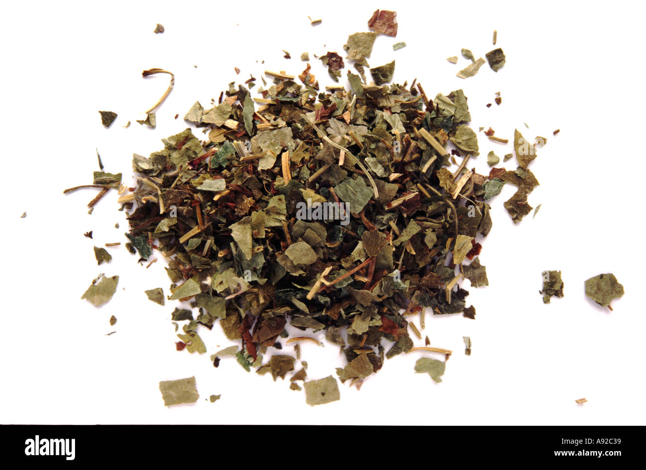 Medicinal plant liverwort stem leaves Leberblume Hepatika Hepatica ...