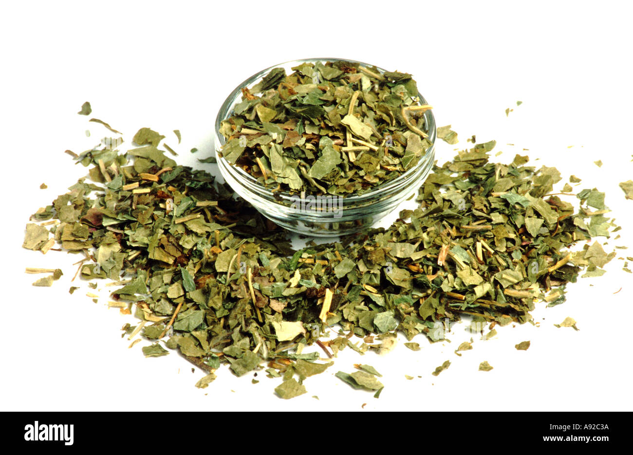 Medicinal plant liverwort stem leaves Leberblume Hepatika Hepatica ...