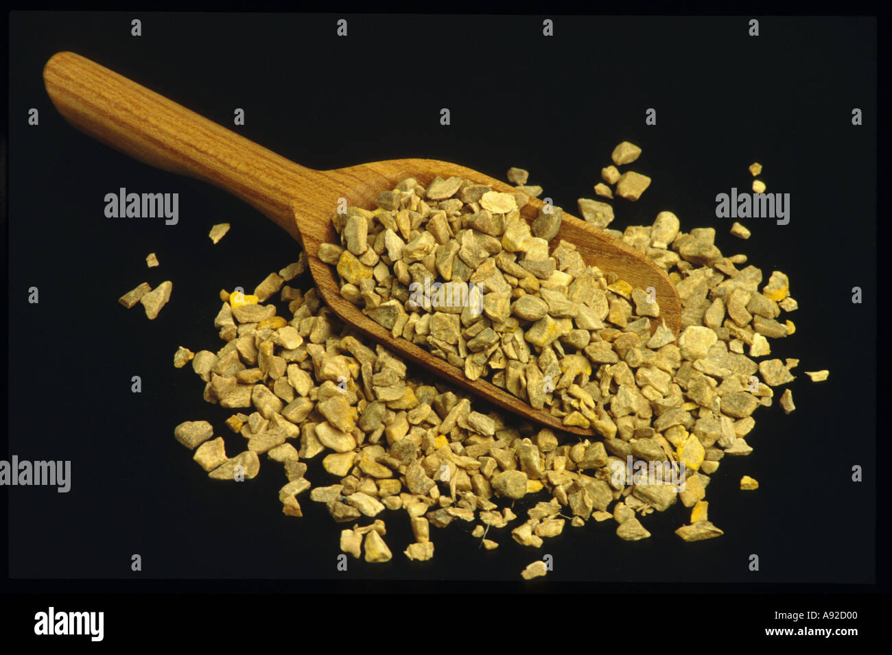 Medicinal plant spice Zitwer Curcuma zedoria Zitwer root Stock Photo ...