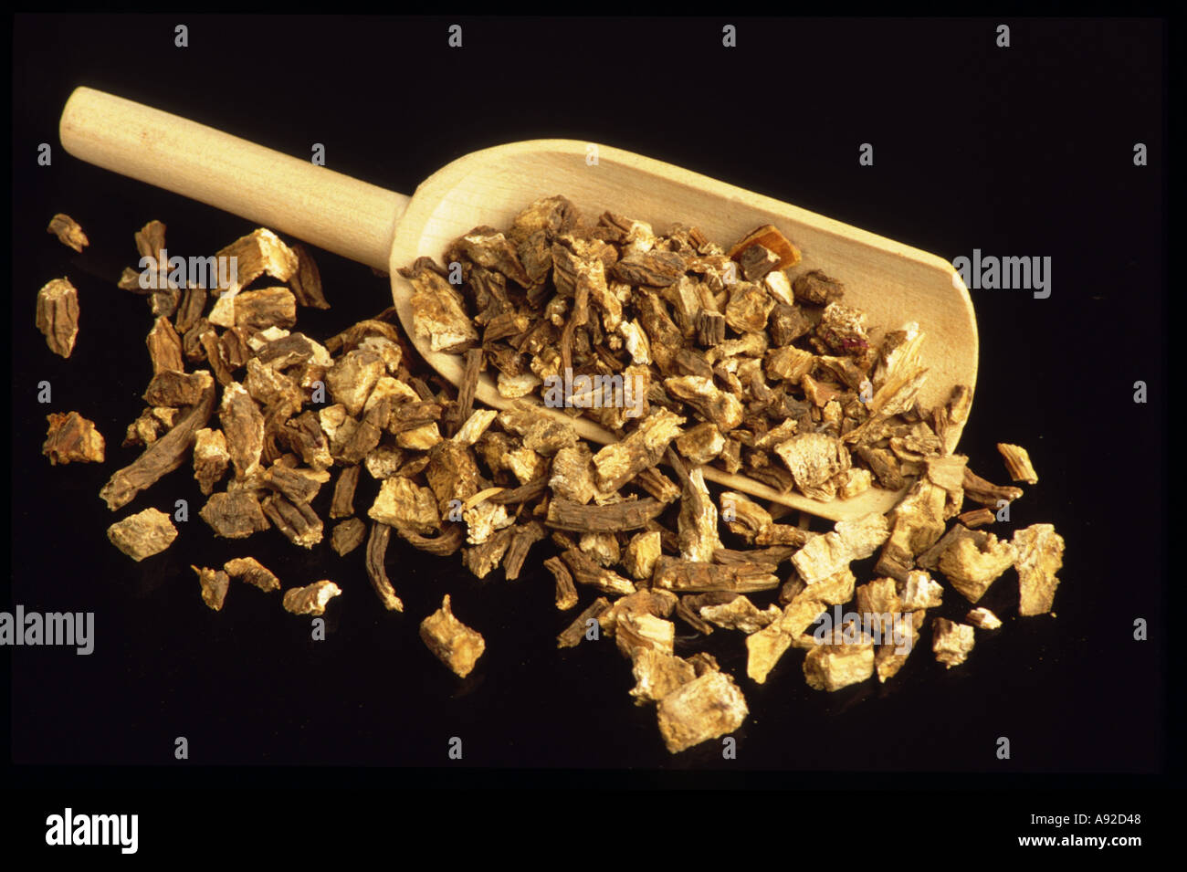 Medicinal plant dried root of Angelica Angelica sinensis Stock Photo ...