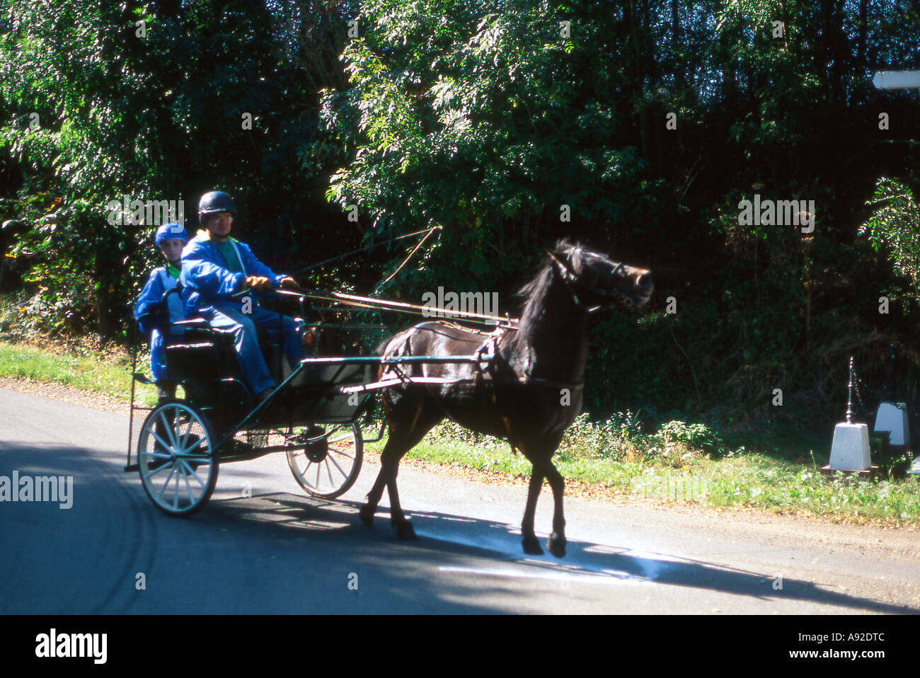 PONY AND TRAP RIDE IN ARROU, FRANCE Stock Photo - Alamy