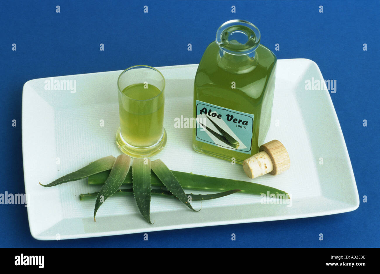 Medicinal plant Aloe Vera Stock Photo - Alamy