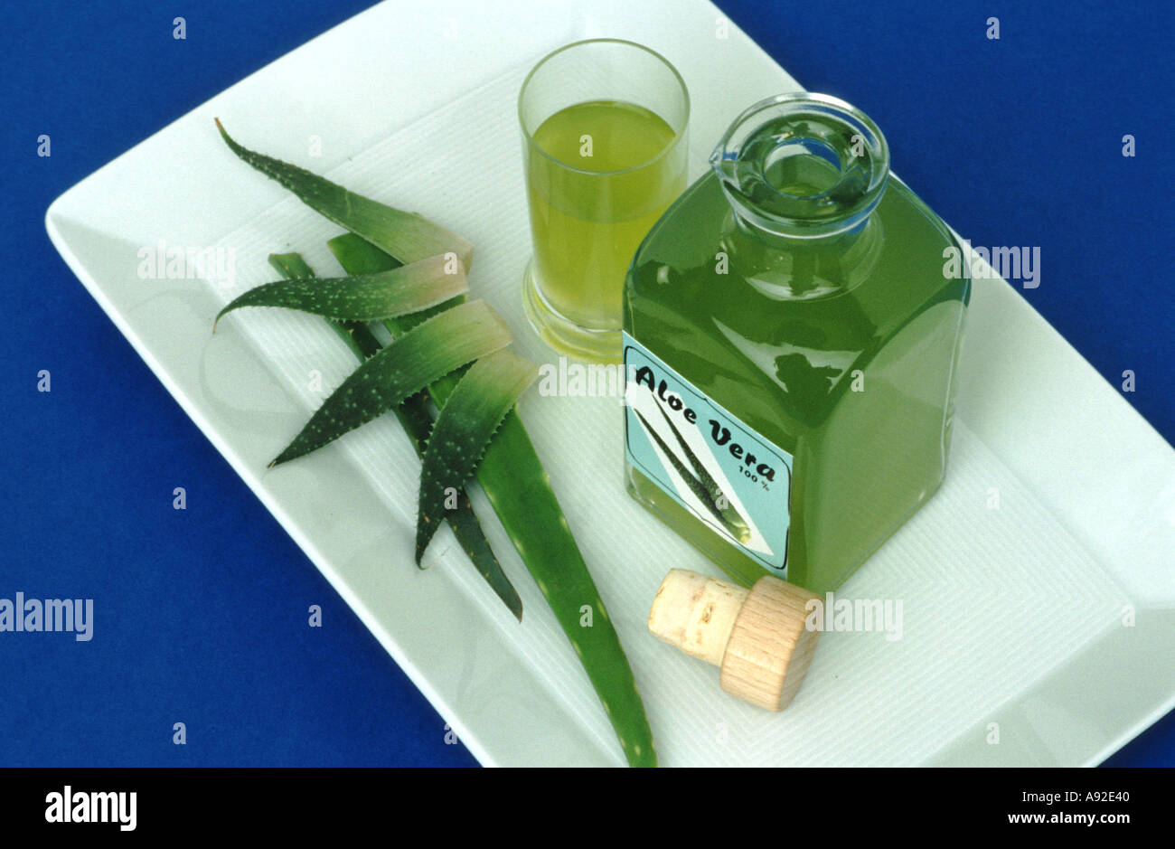 Medicinal plant Aloe Vera Stock Photo - Alamy