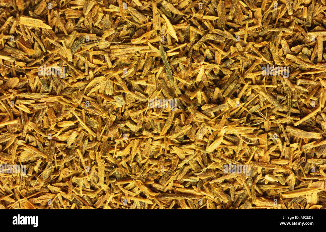 Medicinal plant spice Sumach sweet Samach bark bork Stock Photo - Alamy