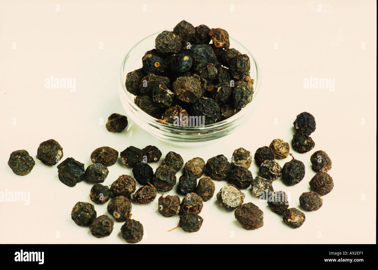 Medicinal plant Schlehdorn Schlehe sloe Blackthorn berry Prunus spinosa ...