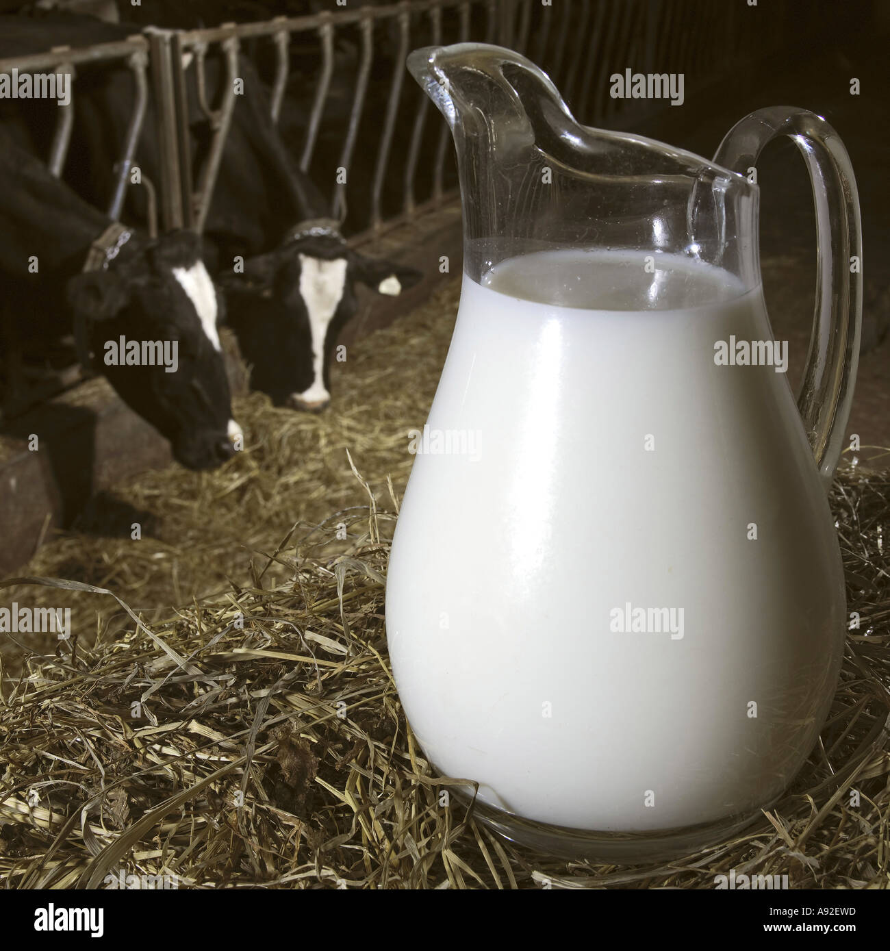 Pitcher with animals hi-res stock photography and images - Alamy