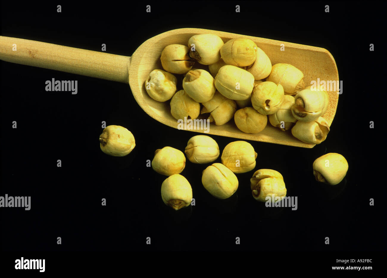 Medicinal plant spice Lotus kernels Nymphaea lotus Stock Photo - Alamy