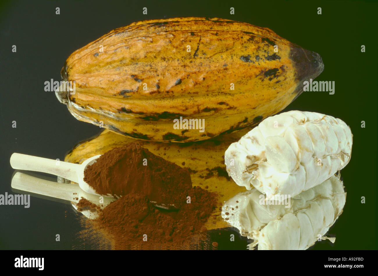 Cacau fruit hi-res stock photography and images - Alamy